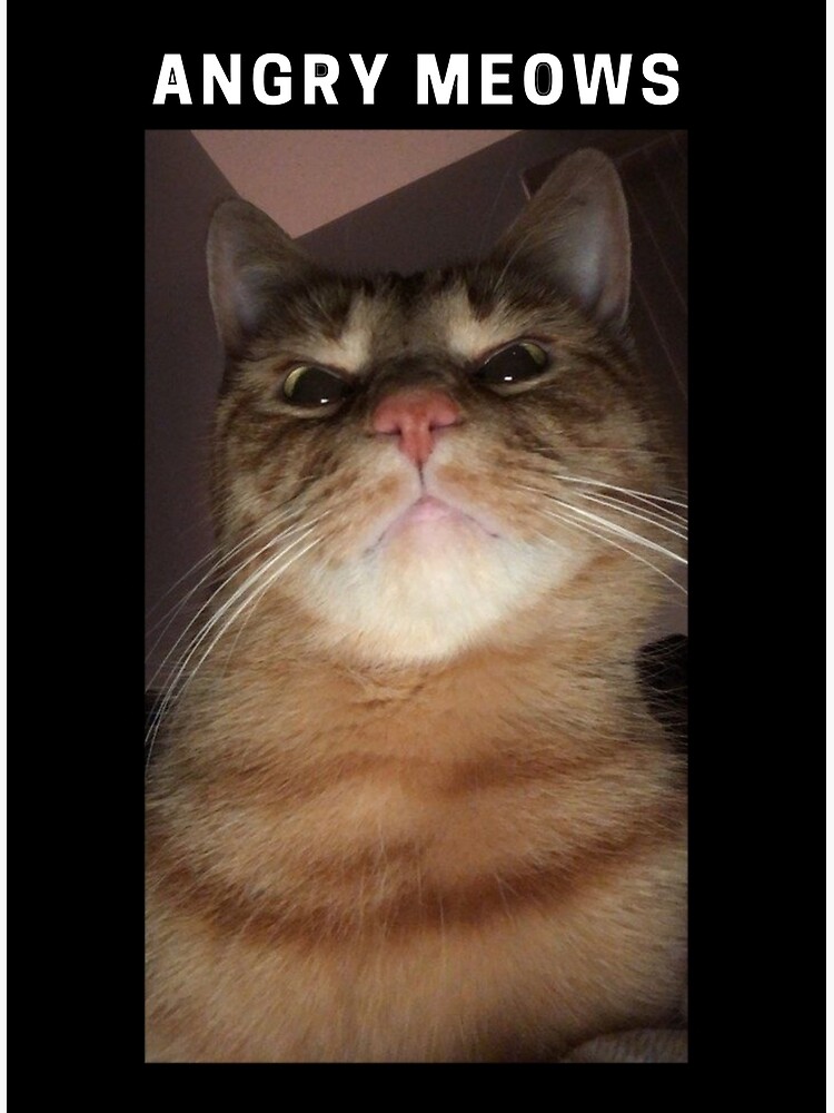 "Angry Meows Cat White Text" Poster for Sale by deiw | Redbubble