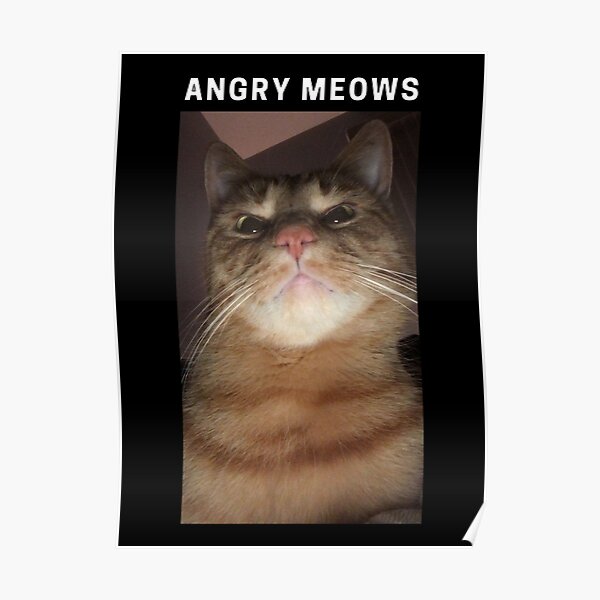 "Angry Meows Cat White Text" Poster for Sale by deiw | Redbubble