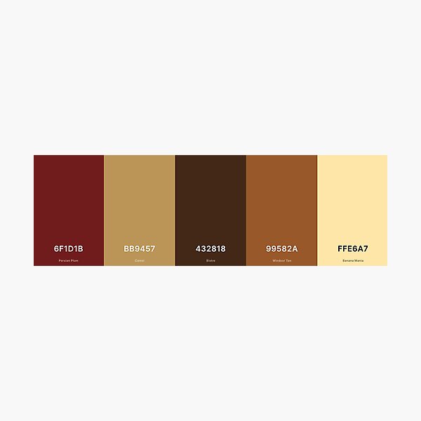 "Brown Color Palette" Photographic Print for Sale by michela313 | Redbubble