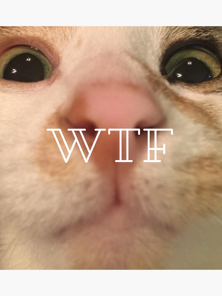 "WTF Cat" Sticker for Sale by deiw | Redbubble