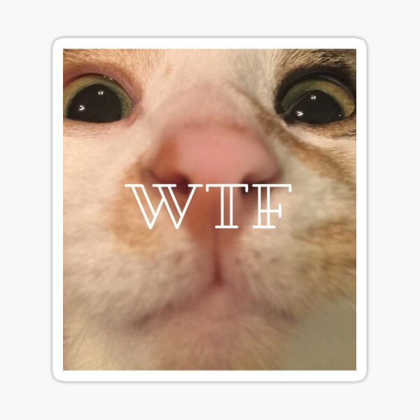 "WTF Cat" Sticker for Sale by deiw | Redbubble