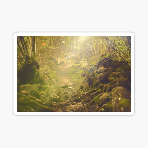 "Rocky Forest Path" Sticker for Sale by Inyeneart | Redbubble