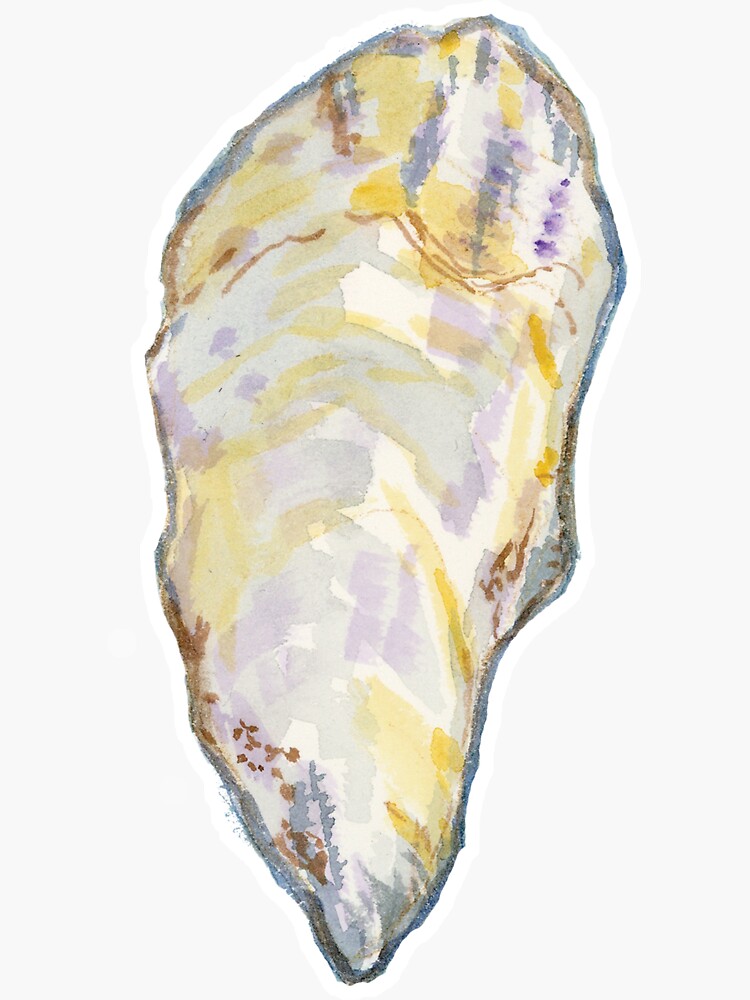 "Oyster Shell" Sticker for Sale by atlanticmo | Redbubble