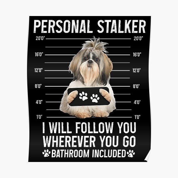 "Personal Stalker Dog, Shih Tzu, Funny Shih Tzu Puppies memes, Shih Tzu ...