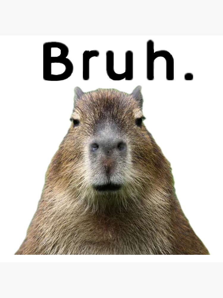 "Capybara bruh meme" Art Print for Sale by Cool-Clothing- | Redbubble