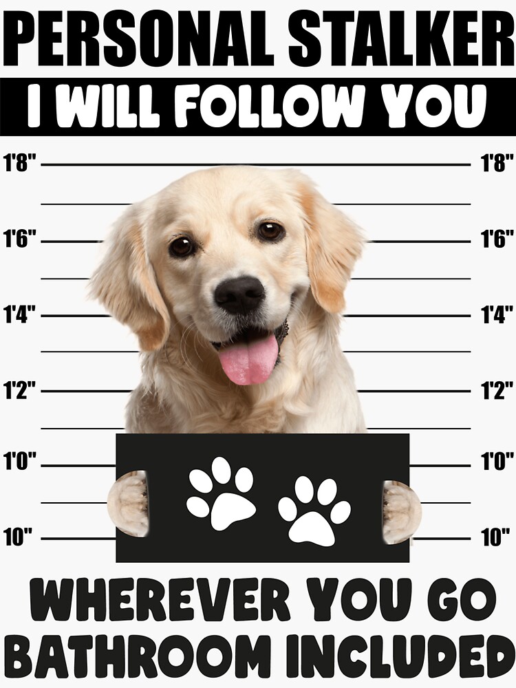"Funny Labrador Retriever Puppy Sayings, Personal Stalker Dog, Golden Retriever, Goldendoodle ...
