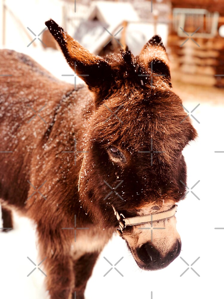 "ANIMALS #55 - Adorable Furry Burro" Sticker for Sale by DEL ...