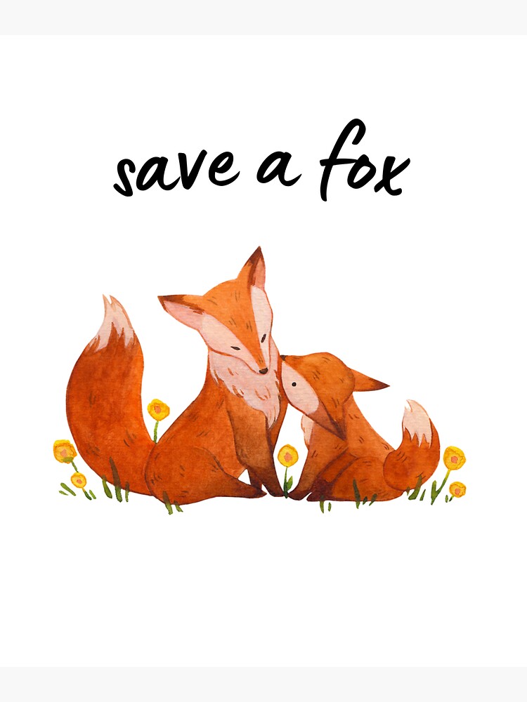 "Save a fox,A gift for fox lovers" Sticker for Sale by 5OUSSAMA5 ...