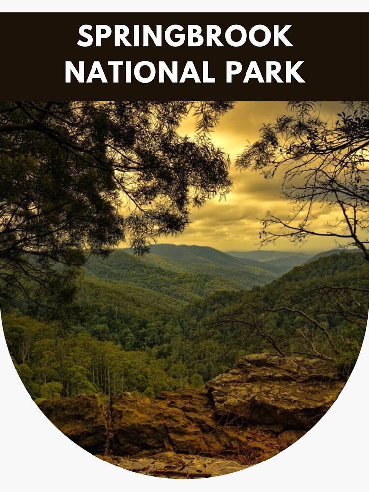 "Springbrook National Park" Sticker for Sale by AdventurePlains | Redbubble