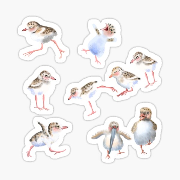 "Chick design" Sticker for Sale by tanjamandolin | Redbubble