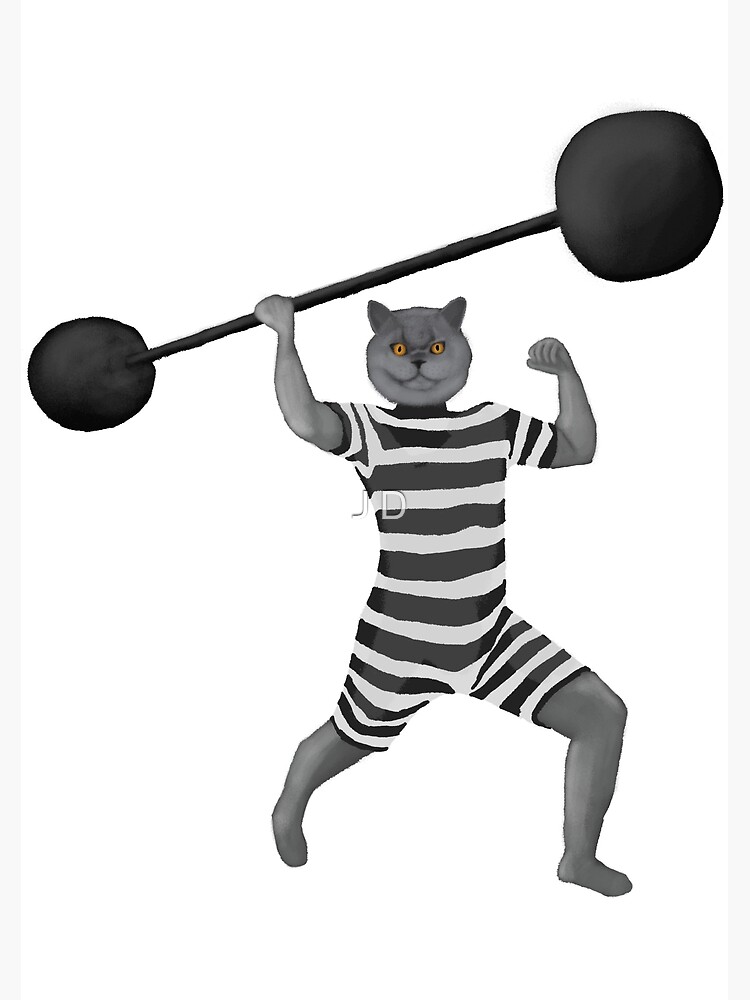 "British Shorthair Cat Strongman" Poster by JaritLuin | Redbubble