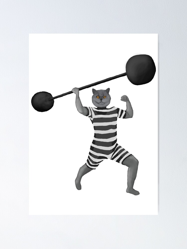 "British Shorthair Cat Strongman" Poster by JaritLuin | Redbubble