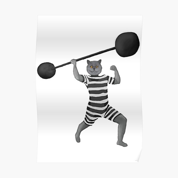 "British Shorthair Cat Strongman" Poster by JaritLuin | Redbubble