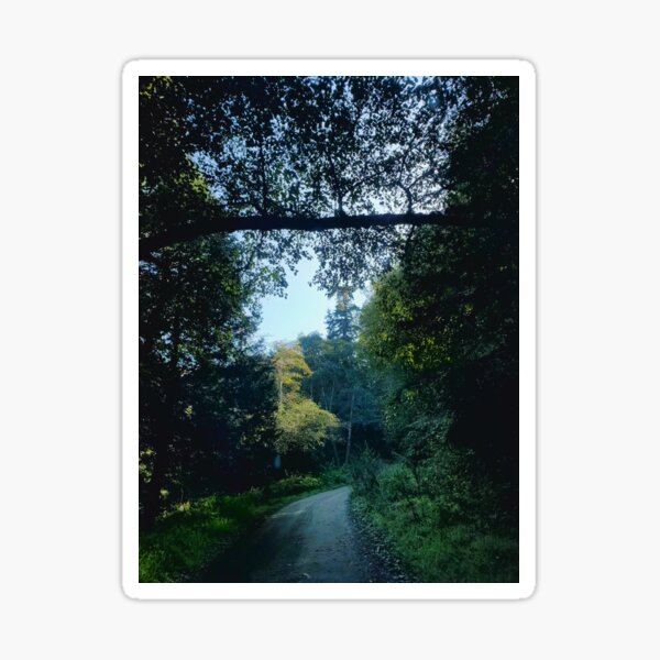 "Fairy Cove" Sticker for Sale by MxCG21 | Redbubble