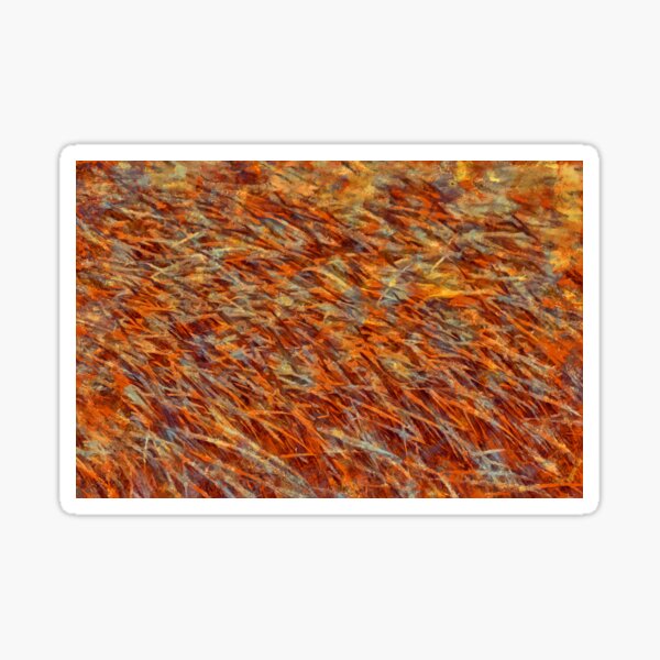 "Fire rainbow" Sticker for Sale by Kiran-Fine-Art | Redbubble