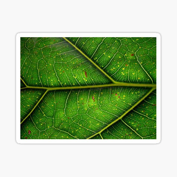 "Sheet" Sticker for Sale by Simka-kat | Redbubble