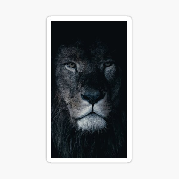"Black Lion" Sticker for Sale by Fozy-Shop-Tees | Redbubble