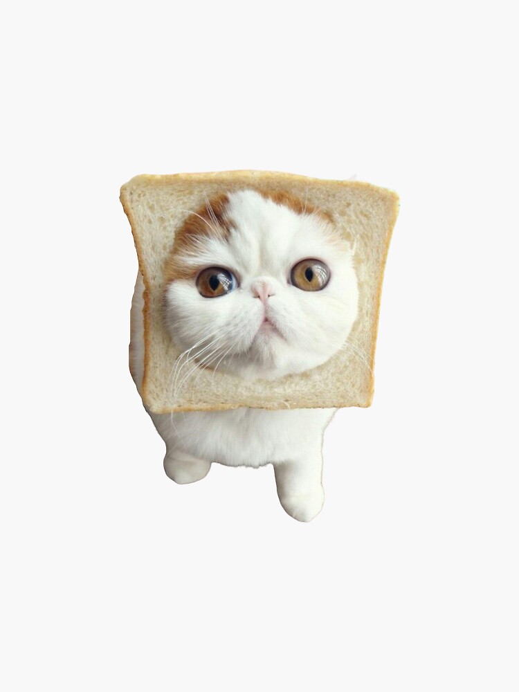 "Funny Cute Kitten Toast Face" Sticker for Sale by Bestcit | Redbubble
