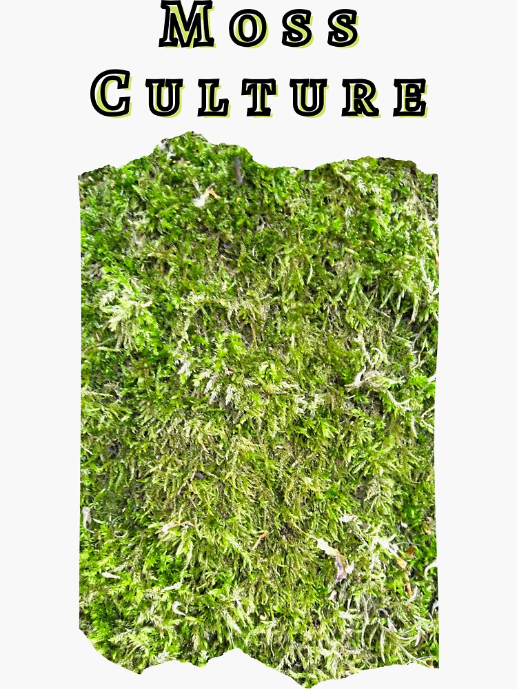 "Green Moss " Sticker for Sale by TinnuDesigns | Redbubble