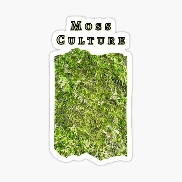 "Green Moss " Sticker for Sale by TinnuDesigns | Redbubble