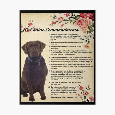 "10 Canine Commandments Labrador Retriever Dog" Art Board Print for ...
