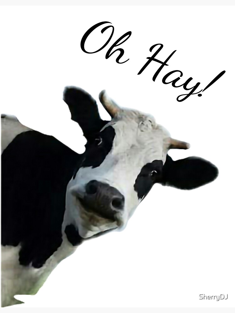 "Oh hay! Funny farm cow" Poster for Sale by SherryDJ | Redbubble