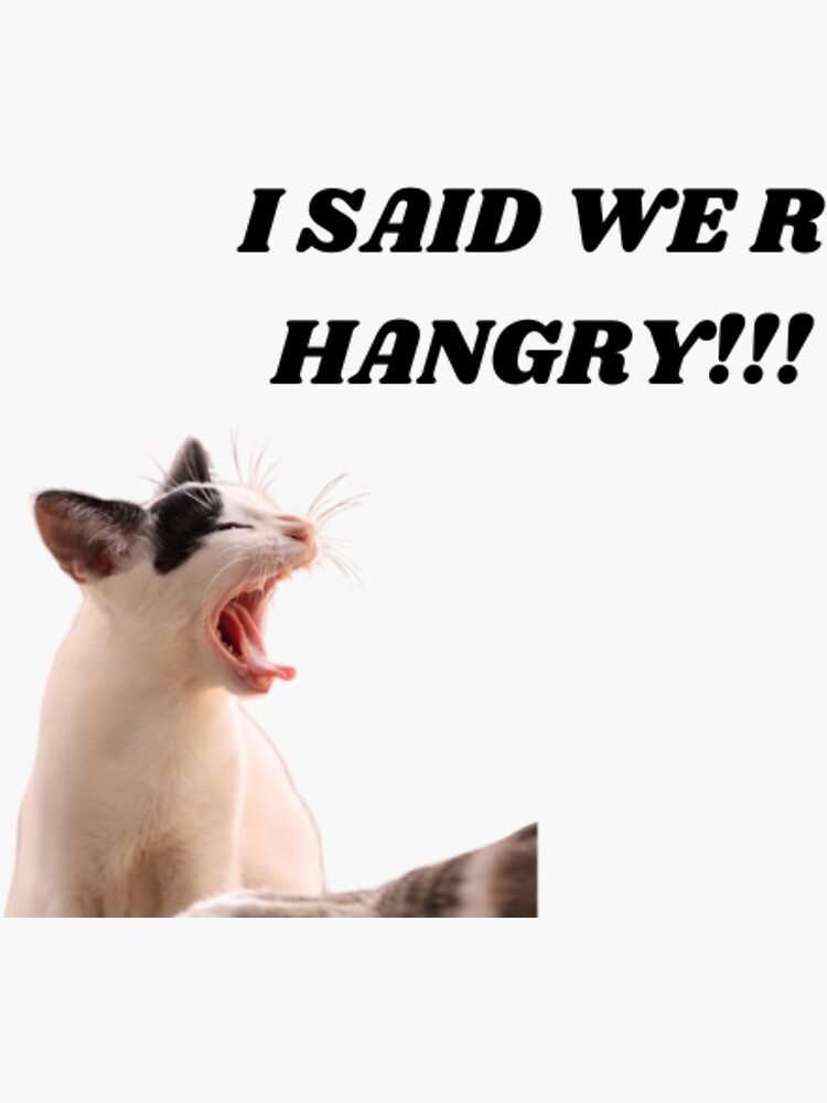 "funny hangry cat" Sticker for Sale by wercool | Redbubble