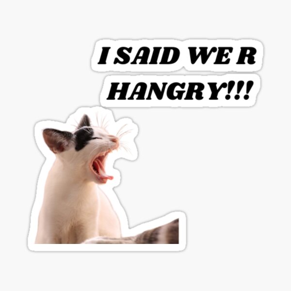 "funny hangry cat" Sticker for Sale by wercool | Redbubble