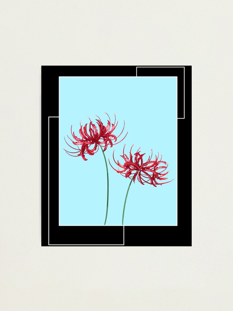 "Rote Spinnenlilie Lycoris Recoil Anime Fanart Lycoris Radiata ...