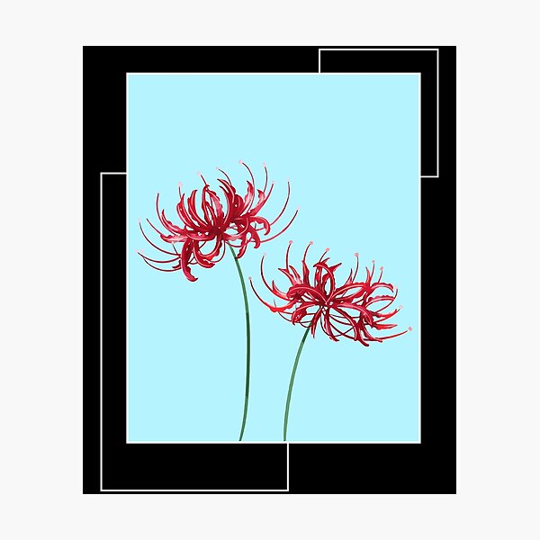 "Rote Spinnenlilie Lycoris Recoil Anime Fanart Lycoris Radiata ...