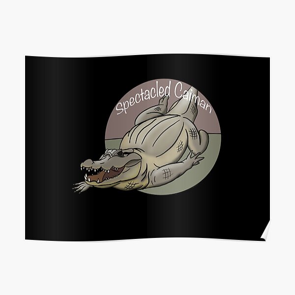 "Spectacled Caiman " Poster for Sale by IronGator | Redbubble