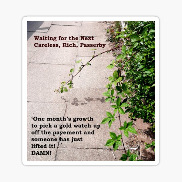 "Waiting for the Next, Rich, Careless Passerby " Sticker for Sale by ...