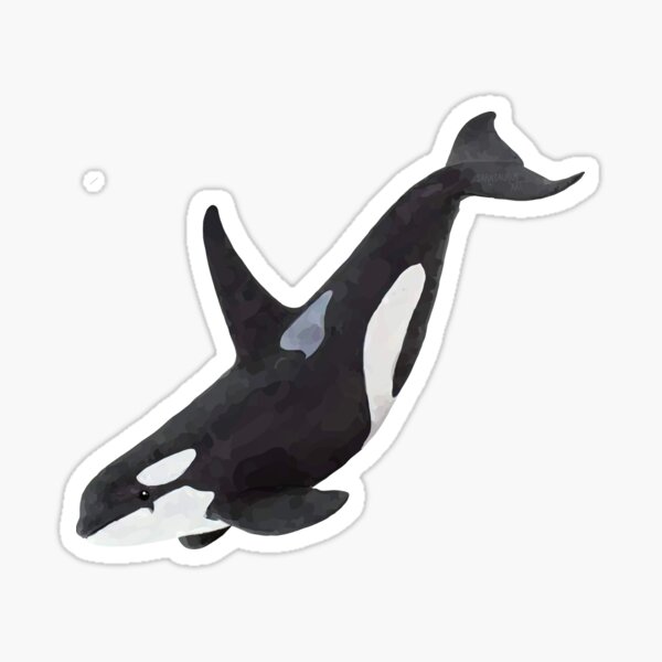 "Orca" Sticker for Sale by SarasaurusArt | Redbubble