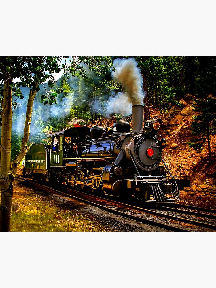 "Steam Engine in the Forest, Steam Train Railroad Engine" Poster for ...