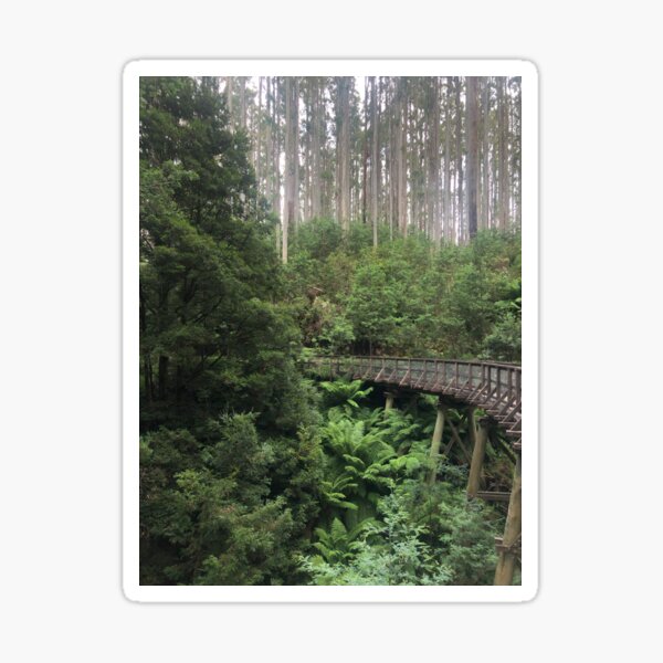 "Historic Timber Trestle Bridge" Sticker for Sale by lovelygangster ...