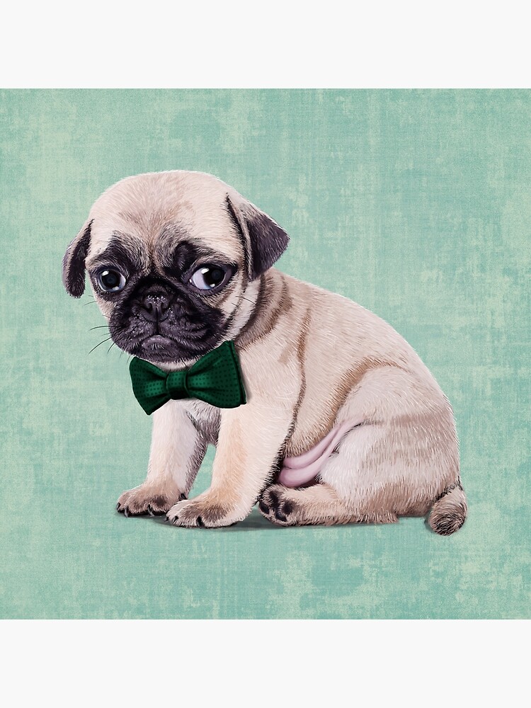 "Angry Pug" Poster for Sale by Sparafuori | Redbubble