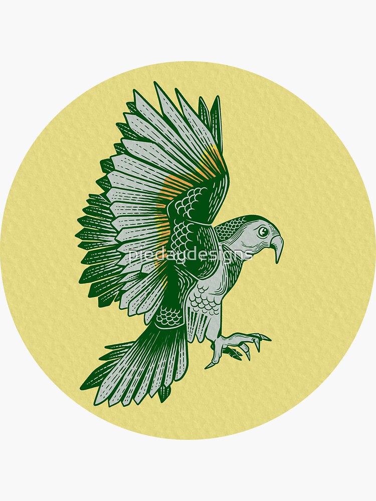 "Kea New Zealand Bird" Sticker for Sale by piedaydesigns | Redbubble