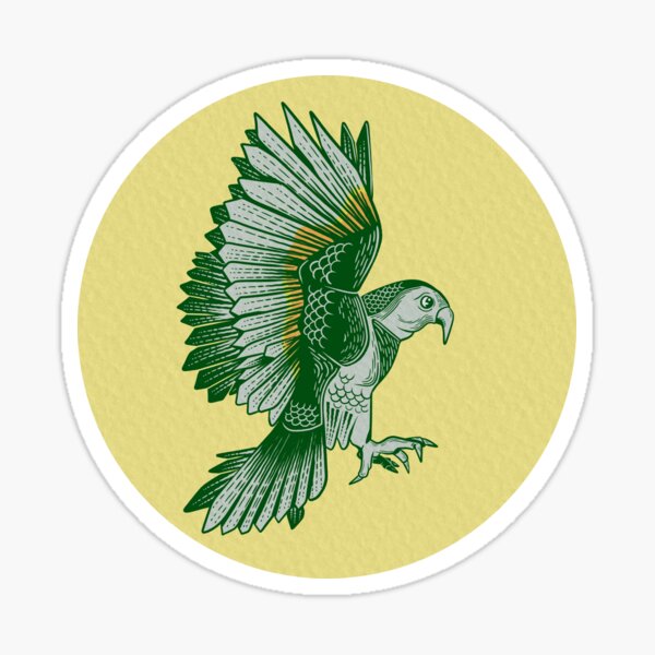 "Kea New Zealand Bird" Sticker for Sale by piedaydesigns | Redbubble