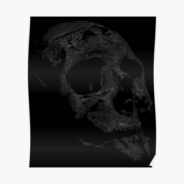 "Faded Skull" Poster for Sale by DRJProds-Merch | Redbubble