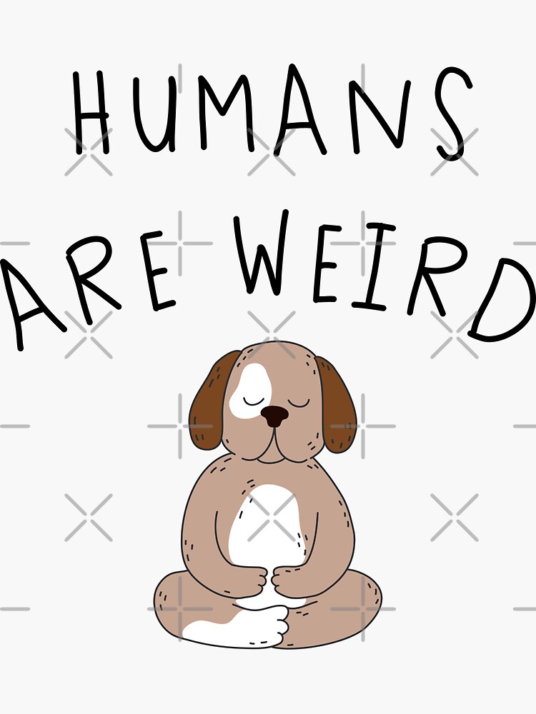 "Dog Humans are Weird Sticker" Sticker for Sale by Jungleful33 | Redbubble