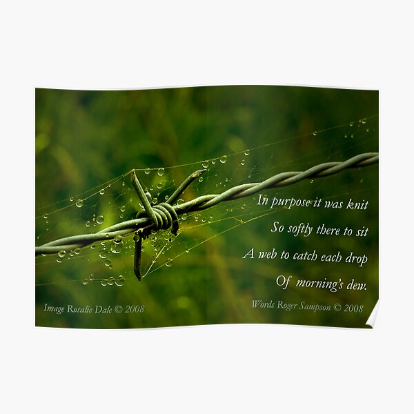 "Collaboration ~ Beauty and the Barbed Wire" Poster by RosalieDale ...