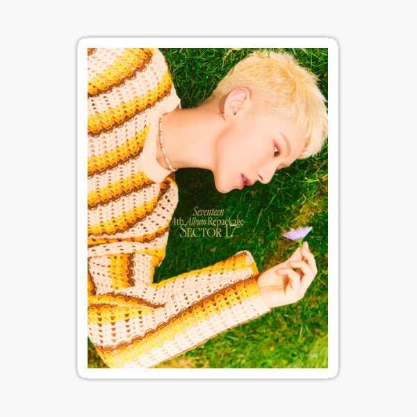 "SEVENTEEN HOSHI '_WORLD'" Sticker for Sale by HaloHaloShine | Redbubble
