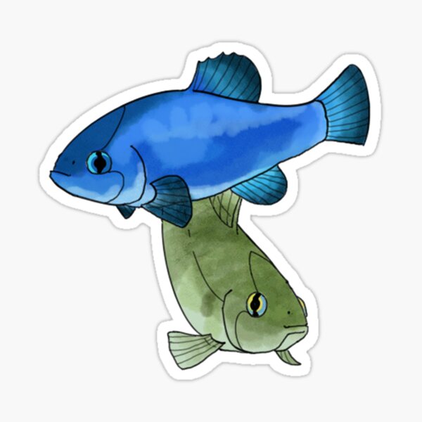 "Devil&s Hole Pupfish Pair Sticker" Sticker for Sale by Darianamiston ...