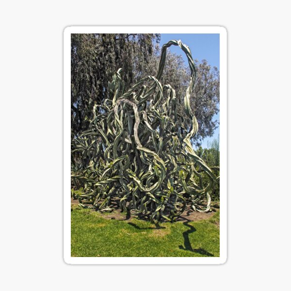 "One Confused Tree © " Sticker for Sale by PrinceJohn | Redbubble