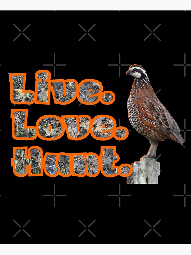 "Live Love Hunt Bobwhite Quail Hunting Design for Quail Hunters" Poster ...