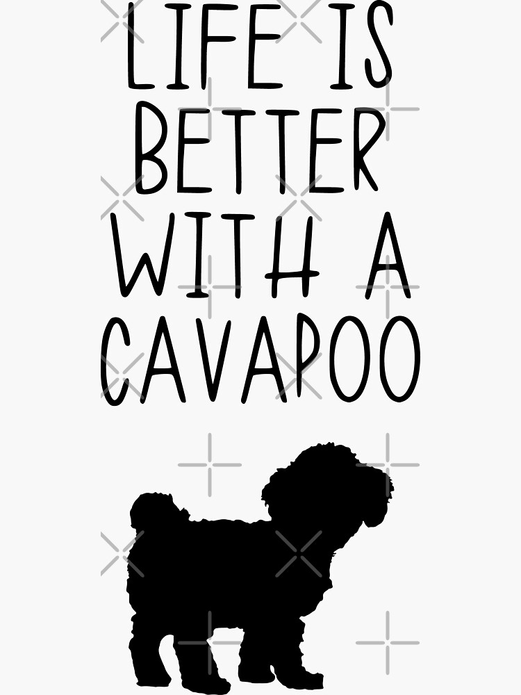 "Life Is Better With A Cavapoo" Sticker for Sale by kindxinn | Redbubble