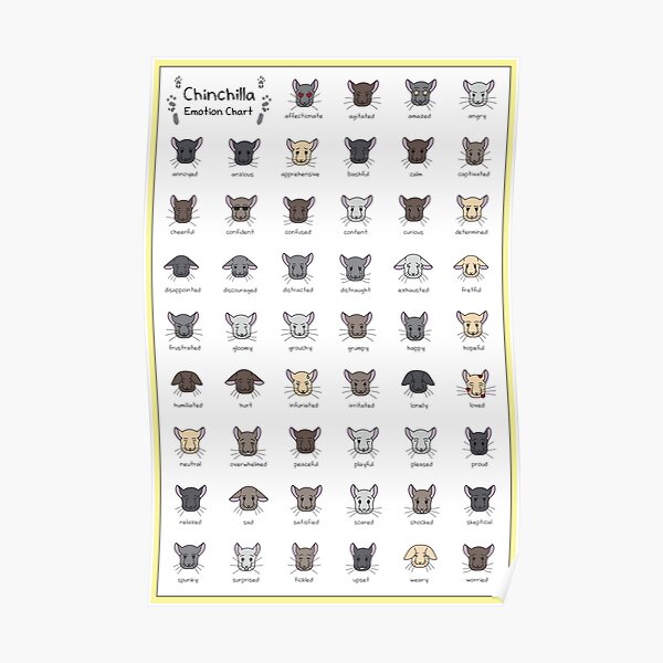 "Chinchilla Emotion Chart" Poster for Sale by babybigfoot | Redbubble