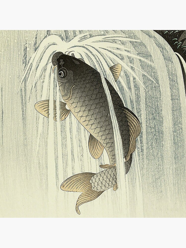 "carp.png" Poster for Sale by limacole | Redbubble