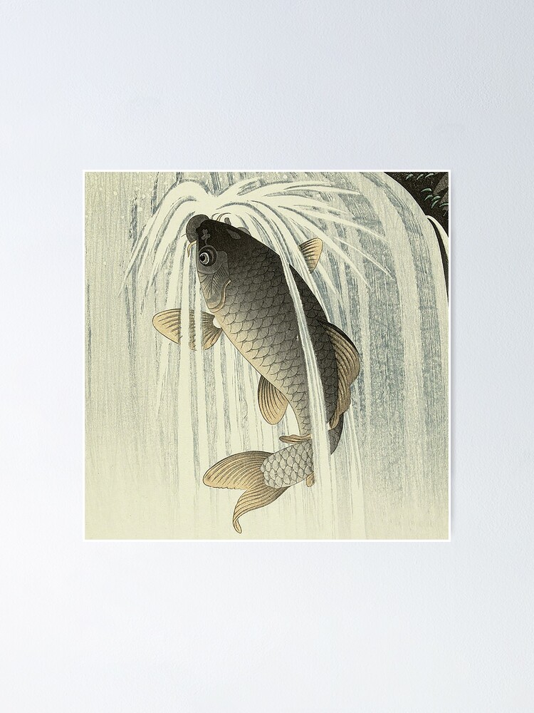 "carp.png" Poster for Sale by limacole | Redbubble