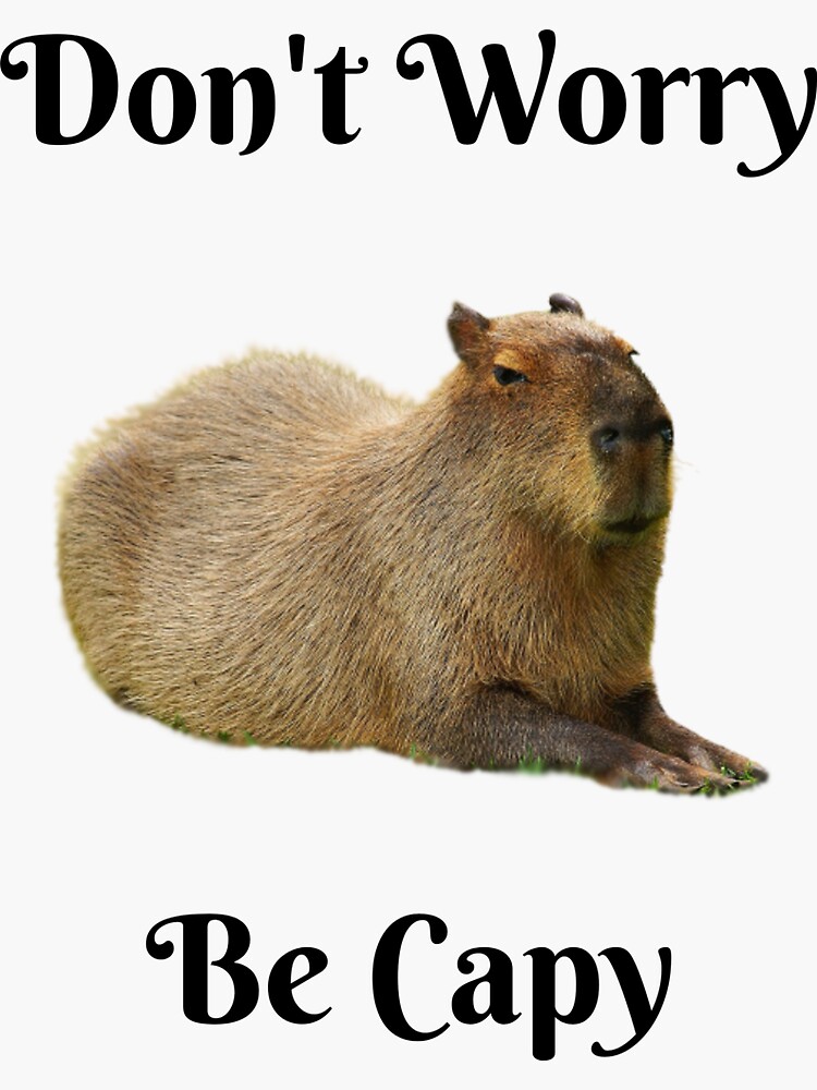 "Don't Worry Be Capy " Sticker for Sale by samithdilshan | Redbubble